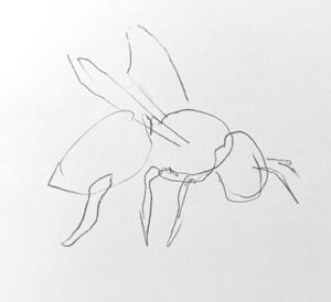 BEE drawing easy STEP BY STEP how to draw art realistic bumble honey ...