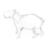 CAPYBARA drawing easy STEP BY STEP how to draw art realistic animals ...