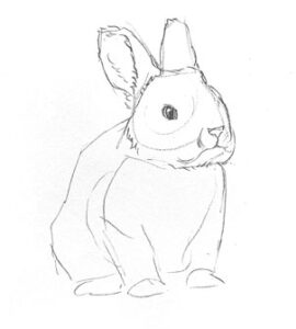 How to draw BUNNY RABBIT drawing easy STEP BY STEP realistic with ...