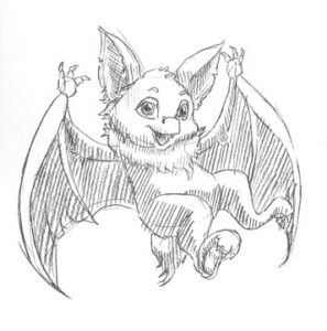 How to draw BAT drawing easy STEP BY STEP realistic with shading ...