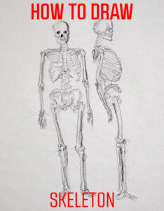 How to Draw SKELETON human anatomy step by step tutorial easy simple ...